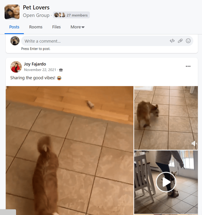 How to Use Workplace Groups For Admins: A Handbook | LineZero